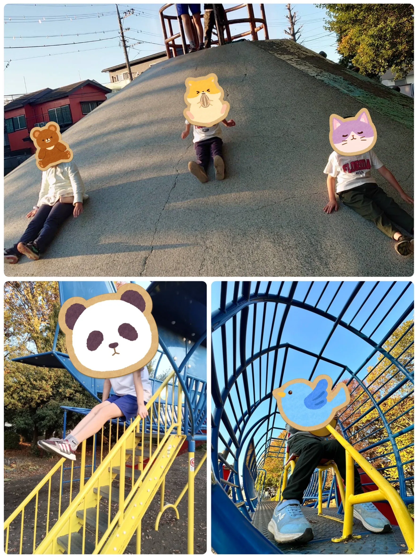 ここはどんぐりの王国ですか・・・？ | Apple Junior（児童発達支援・放課後等デイサービス）